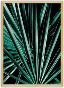 Plakát Dark Palm Tree