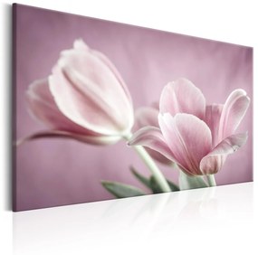 Obraz - Romantic Tulips