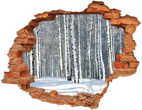 Wallmuralia Samolepící díra na stěnu nálepka Les zima 90x70 cm