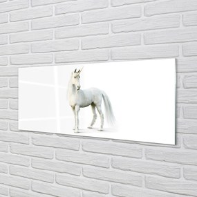 akrylový obraz bílý jednorožec 120x60 cm