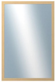DANTIK - Zarámované zrcadlo - rozměr s rámem cca 40x60 cm z lišty KASSETTE jasan (2860)