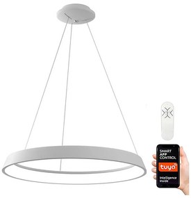 Immax NEO 07079L - LED Stmívatelný lustr na lanku LIMITADO LED/39W/230V 60 cm+DO