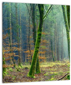 Obraz lesa (30x30 cm)