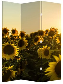 Paraván - Slunečnicové pole (126x170 cm)