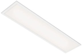 Briloner | Briloner 7067-016 - LED Stropní svítidlo SIMPLE LED/24W/230V | BL1409