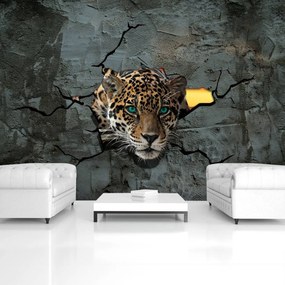 Fototapeta - Jaguar za cementovou zdí (152,5x104 cm)