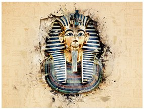Fototapeta - Důstojný faraon 250x193 + zdarma lepidlo