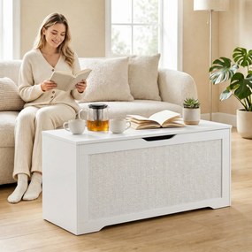 HOMCOM úložný box 108L Úložná lavička s ratanovým panelem, skládací víko, podpěrná ramena pro chodbu 80x40x45cm Bílá