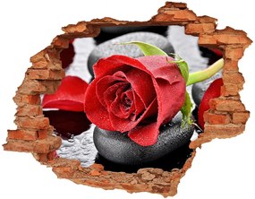 Wallmuralia Samolepící díra na stěnu Červená růže 90x70 cm