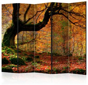 Artgeist Paraván - Autumn, forest and leaves II [Room Dividers] Velikosti (šířkaxvýška): 225x172