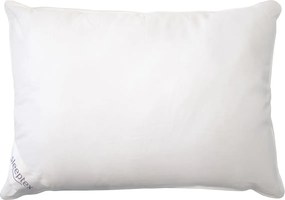 XXXLutz POLŠTÁŘ POD HLAVU, 70/90 cm Sleeptex - Polštáře pod hlavu - 005868021805