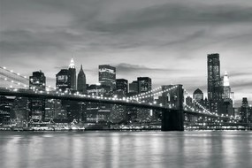 Postershop Fototapeta: Brooklyn Bridge - 254x368 cm
