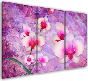 Obraz triptych na plátně, Orchidej Květiny Abstrakce 90x60