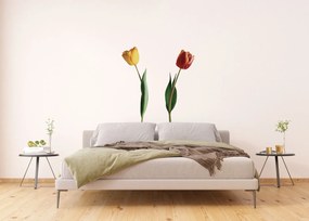 Samolepka na zeď Tulipány | 65 x 85 cm | DF0401