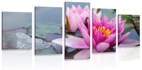 5-dílný obraz růžový lotosový květ - 100x50 cm
