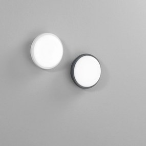 FAN LED-EVER-S ANT Venkovní nástěnné a stropní svítidlo LED EVER antracit, polykarbonát, 15 W, 1900 lm, 3000/4000 K, IP65, 16,9 x 6,2 cm - FANEUROPE