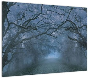 Obraz lesa v mlze (70x50 cm)