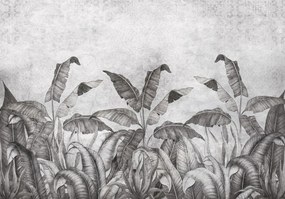 Postershop Fototapeta vliesová: Imitace přírodních listů černobílé (2) - 254x184 cm
