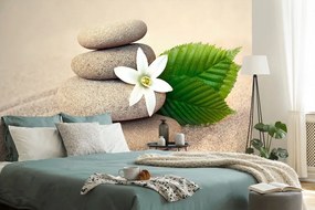 Samolepící fototapeta bílý květ a kameny v písku - 375x250 cm