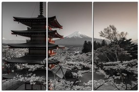 Obraz na plátně - Pohled na horu Fuji 161FB (105x70 cm)