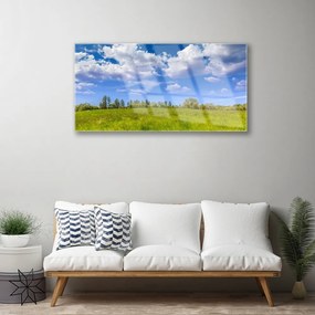 Obraz na skle Louka Tráva Nebe Krajina 100x50 cm