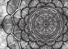 Malvis ® Tapeta Mandala černobílá Vel. (šířka x výška): 504 x 310 cm