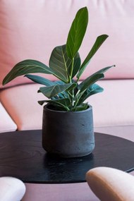 Květináč TROPICO, sklolaminát, výška 20 cm, antracit