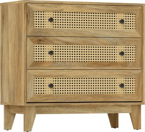 HOMCOM Úložný kabinet s 3 zásuvkami z ratanu 80 x 35 x 76 cm v jemném dřevěném vzhledu | Aosom