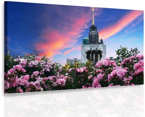 Malvis ® Obraz Město růží Velikost: 60x40 cm