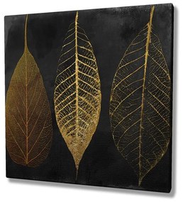 Obraz na plátně Leaves KC139 45x45 cm