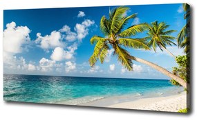 Wallmuralia Foto obraz canvas Maledivy pláž 100x50