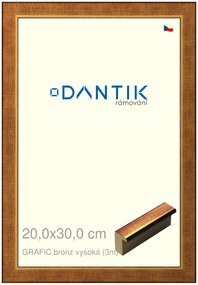 DANTIK rámeček 20x30 | GRAFIC bronz vysoká (Sklo Čiré)