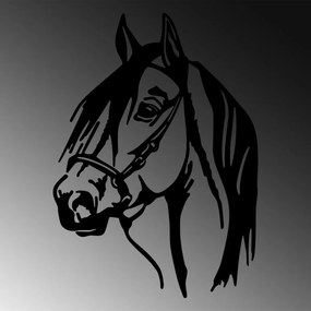 Nástěnná kovová dekorace Kůň 40x55 cm černá