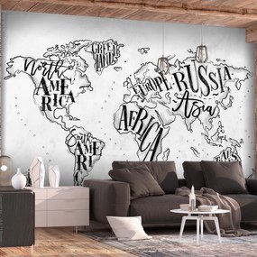 Fototapeta - Retro Continents (Grey)