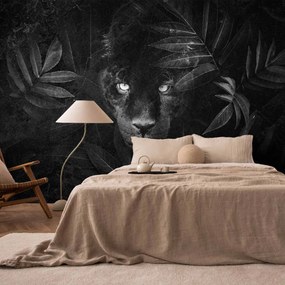 Fototapeta Skrývající se černý panter - zvířecí motiv s prvky džungle