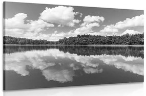 Obraz příroda v letním období v černobílém provedení - 120x80 cm