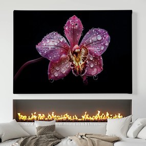 Obraz na plátně - Orchidej, kapky souznění FeelHappy.cz Velikost obrazu (šířka x výška): 90 x 60 cm