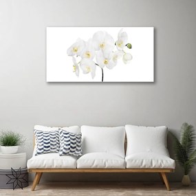 Obraz na skle Bílá Orchidej Květiny 120x60 cm