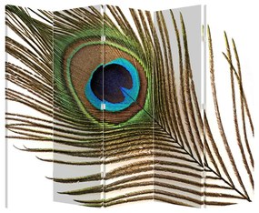 Paraván - Paví peří (210x170 cm)