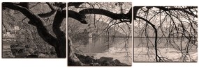 Obraz na plátně - Podzim u jezera - panoráma 5198QD (120x40 cm)