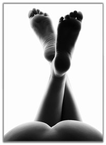 Malvis ® Obraz ženské tvary Velikost (šířka x výška): čtyřdílný čtverec - 80x80 cm