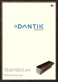 DANTIK rámeček 70x100 | TRITON černá (Plexi Čiré)