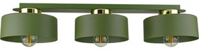 Keter Lighting Stropní svítidlo IGNIA 3xE27/60W/230V zelená 3385