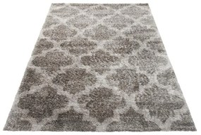 Kusový koberec shaggy Deniz šedý 120x170cm