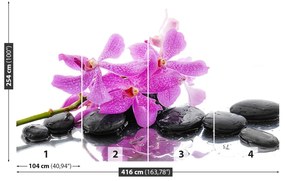 Fototapeta Růžová orchidej 104x70