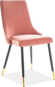 Casarredo - Komfort nábytek Designová jídelní židle PIANO, velvet starorůžová/kov černá/zlatá
