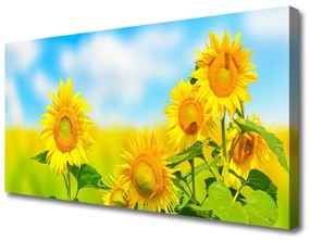 Obraz na plátně Slunečnice Květiny Příroda 120x60 cm