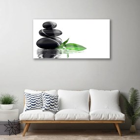Obraz na skle Kameny Listy Voda Umění 120x60 cm