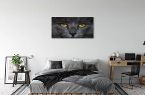 Obrazy na plátně Černá kočka 125x50 cm