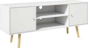 HOMCOM TV Stánek do Obývacího Pokoje s 2 Dveřmi a 2 Úložnými Policemi pro Televize do 55 Palců, 120x34x50 cm, Bílý | Aosom